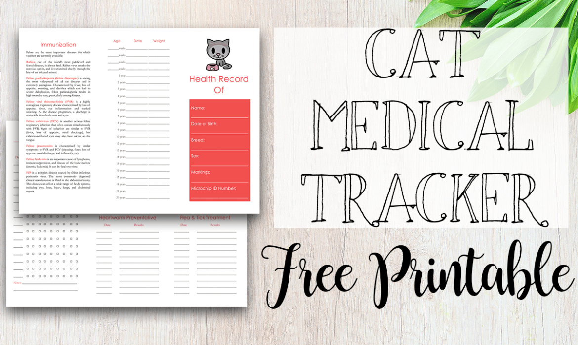 Free Printable Medical Record for Dogs - Tastefully Eclectic