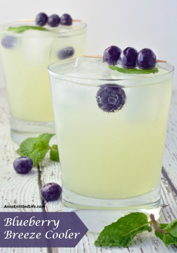 blueberry-breeze-cooler-recipe - Tastefully Eclectic