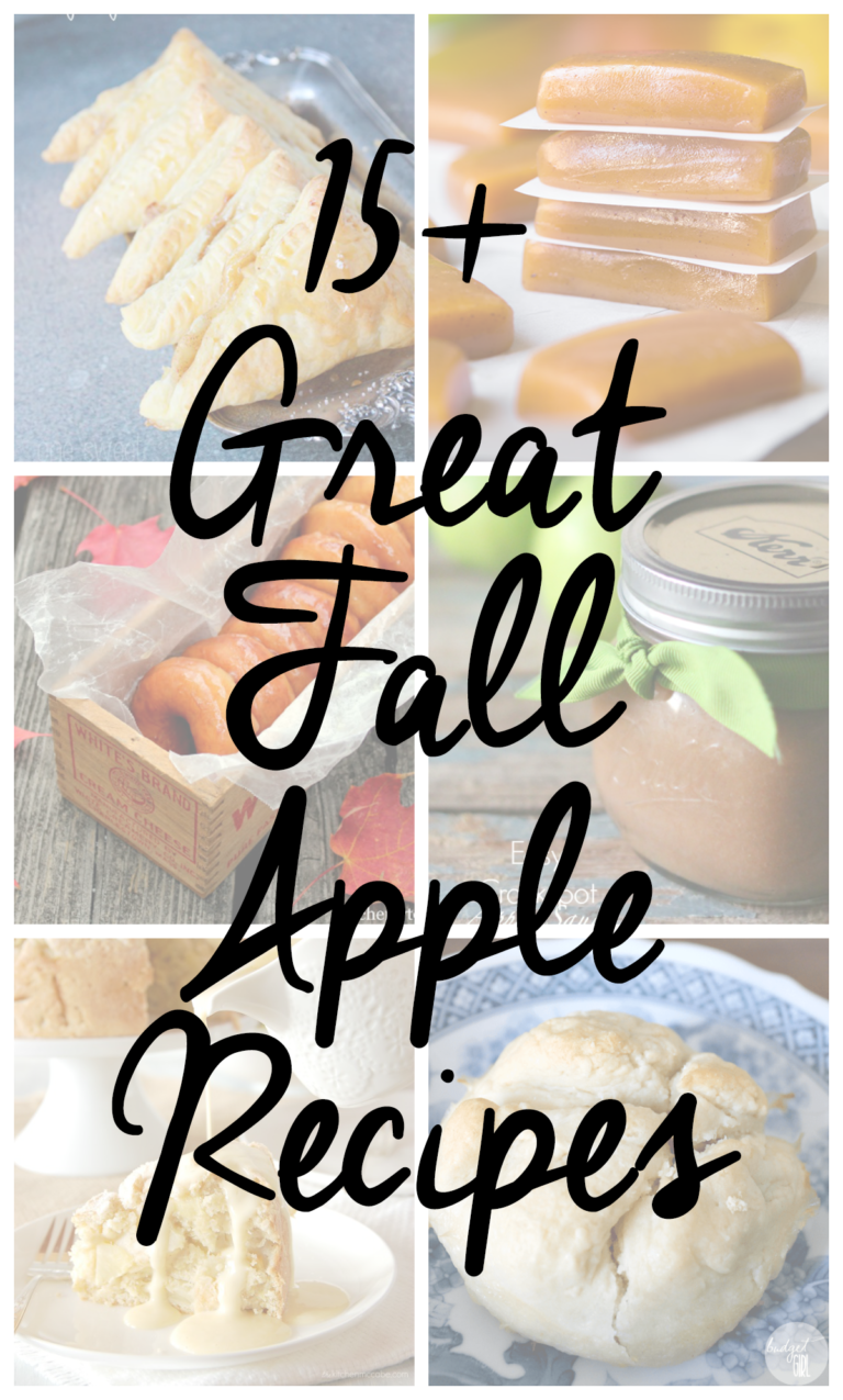 15+ Great Fall Apple Recipes - Tastefully Eclectic
